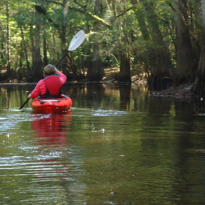 Sunday Sessions | Sugar Swamp