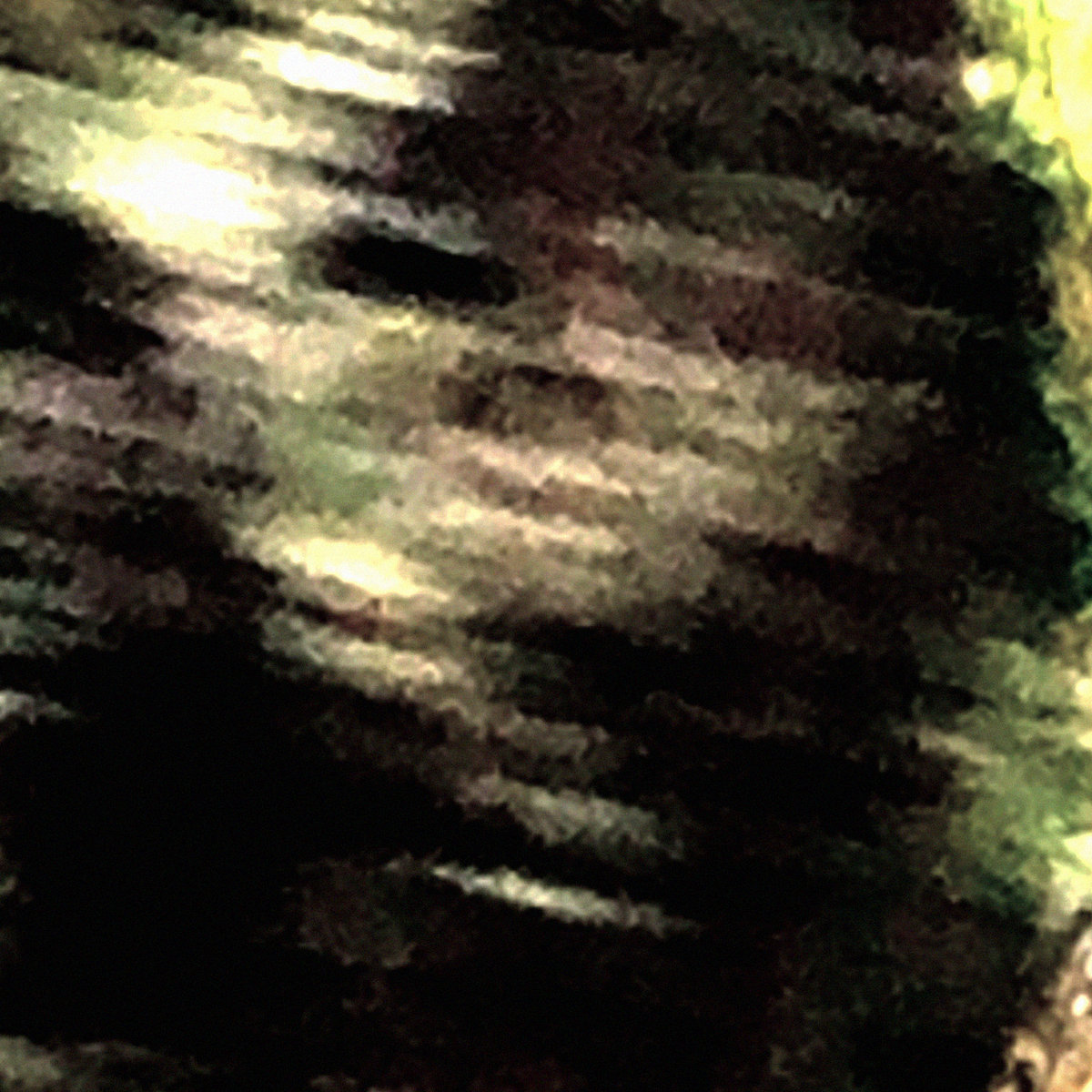 Unknown Being | Lost Creature