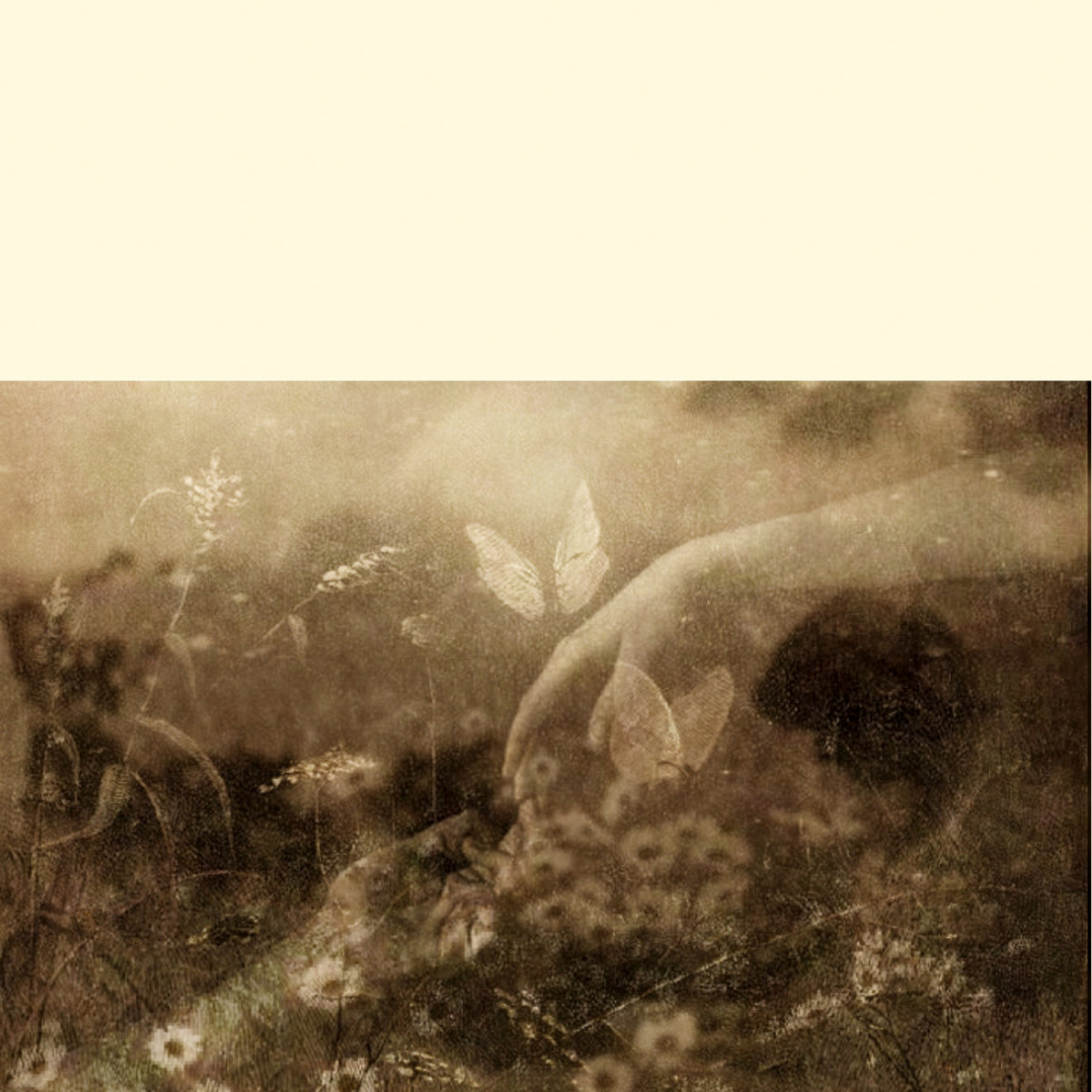 Invincible Summer | City Of Dawn