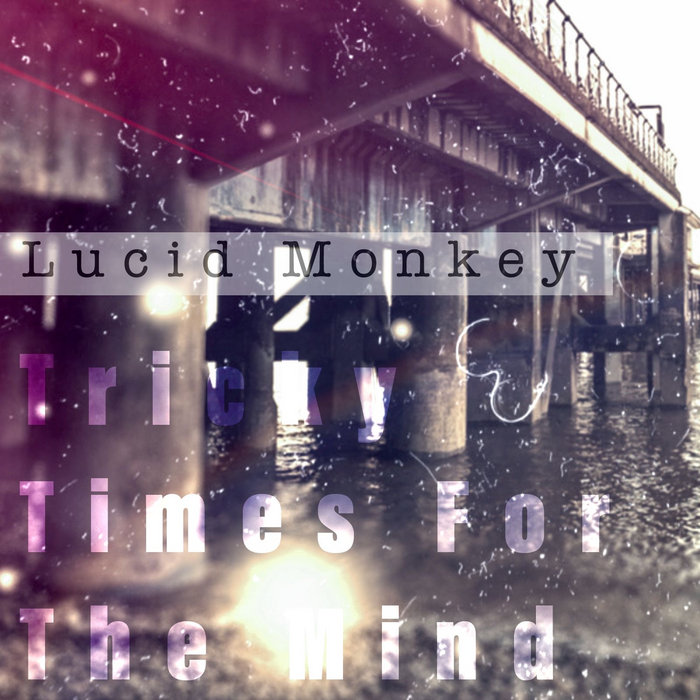 Tricky Times For The Mind | Lucid Monkey