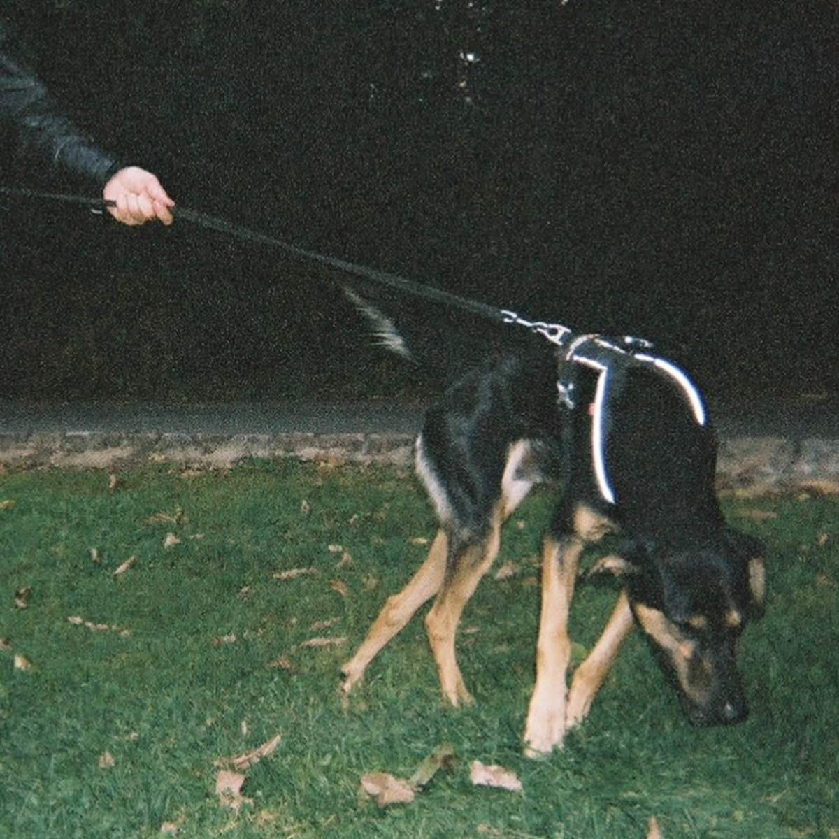 Feel (ft. Deza) | dublon | Delicieuse Records