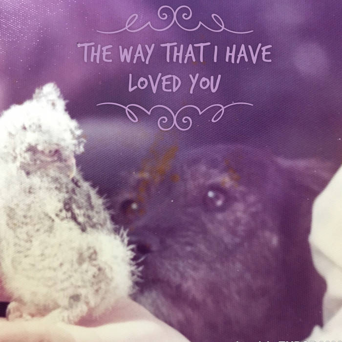 The Way That I Have Loved You | Tanner Frick