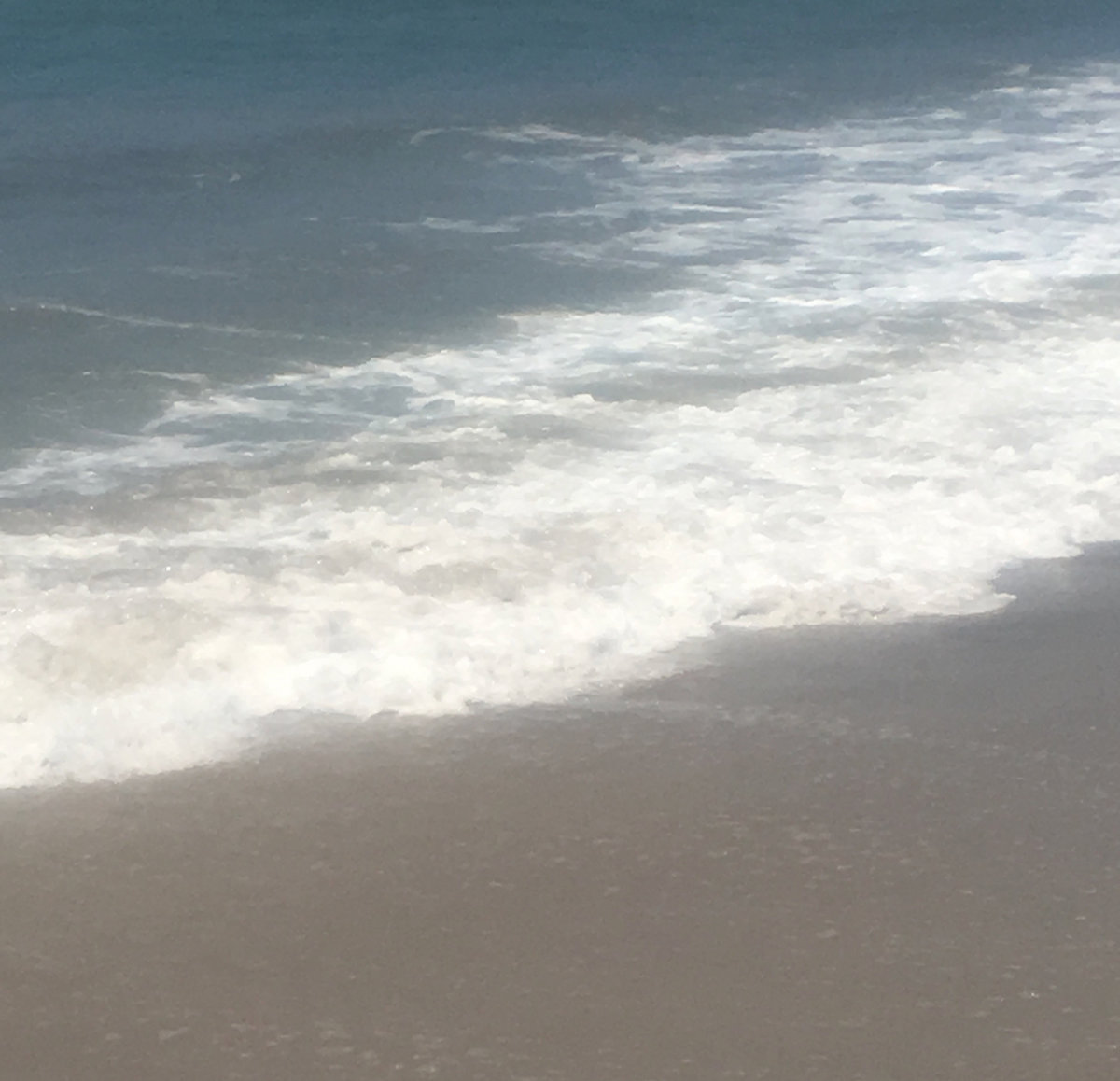 Blue Dream | doe dear