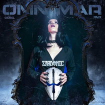 Hyena Signs | APNOIE