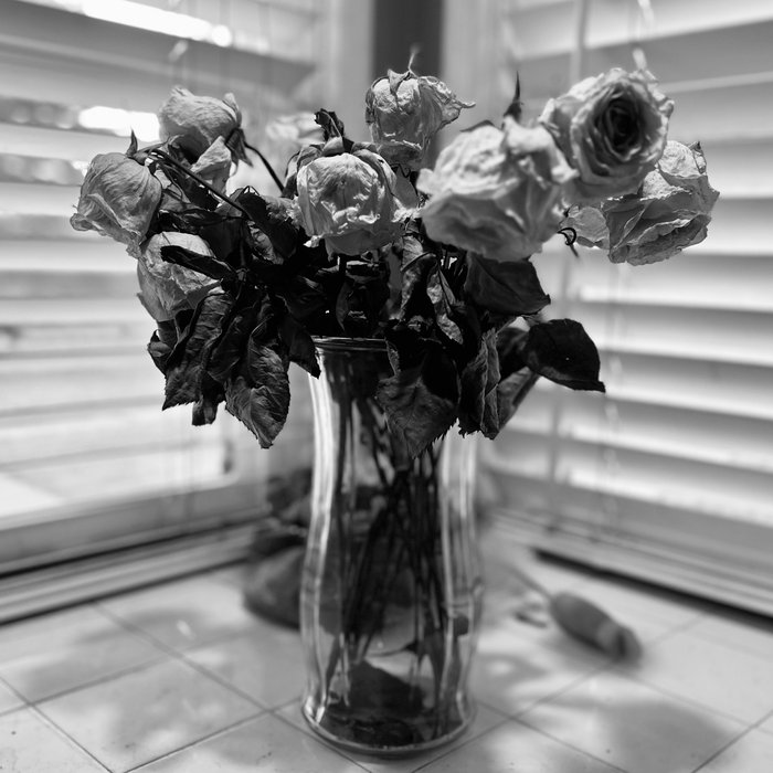 Intimations | Ryan Gregory Tallman