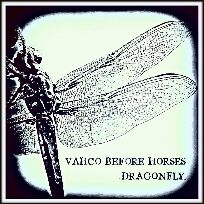 DRAGONFLY | vahco before horses