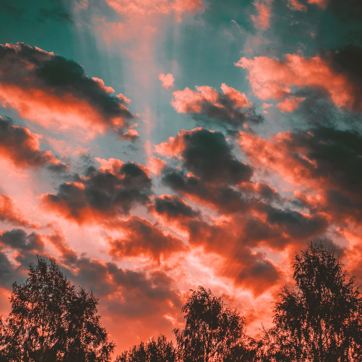 Amazing Evening Vibes | Amazing Evening Vibes | Aether Gaze