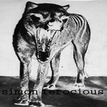 Simon Ferocious | The Needles