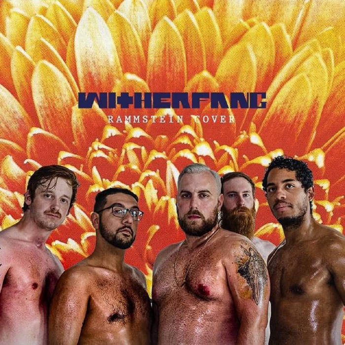Rammstein Album 8577