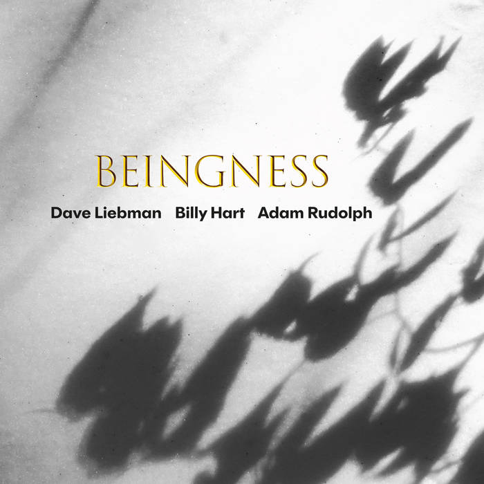 Beingness | Dave Liebman, Billy Hart, Adam Rudolph | Adam Rudolph
