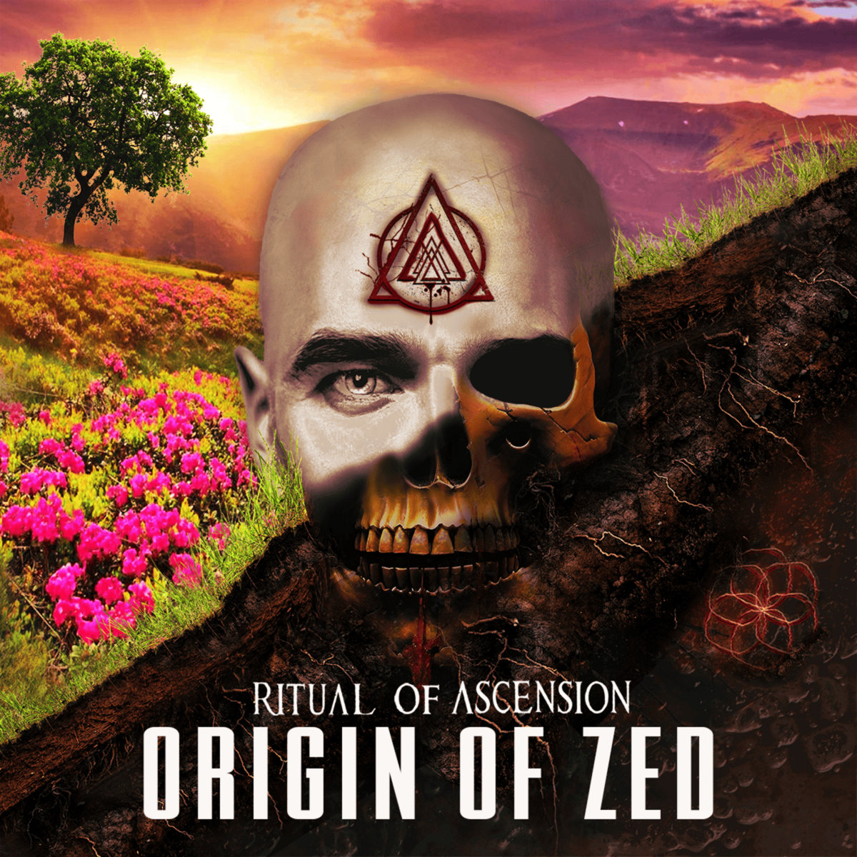 Origin of Zed | Ritual of Ascension