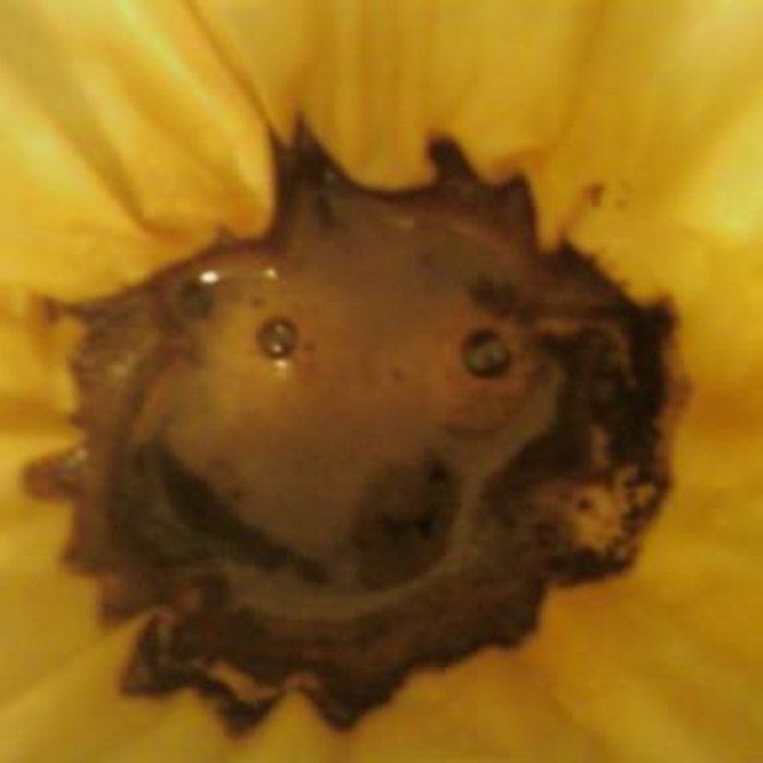 The Center of the Corruption | Caleb R. Weir