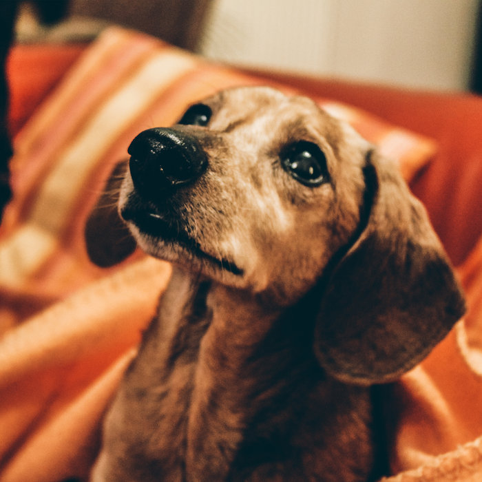 Jeff kaale classics | Jeff Kaale