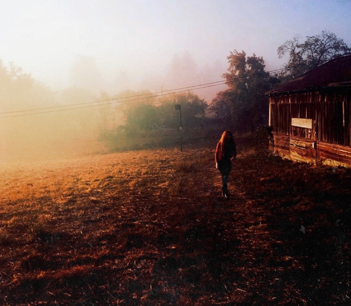 Orchard (Lost Track) | Libby DeCamp