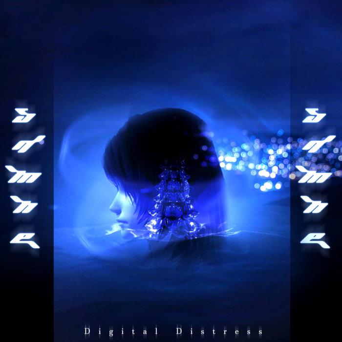 DIGITAL DISTRESS | SDMNE