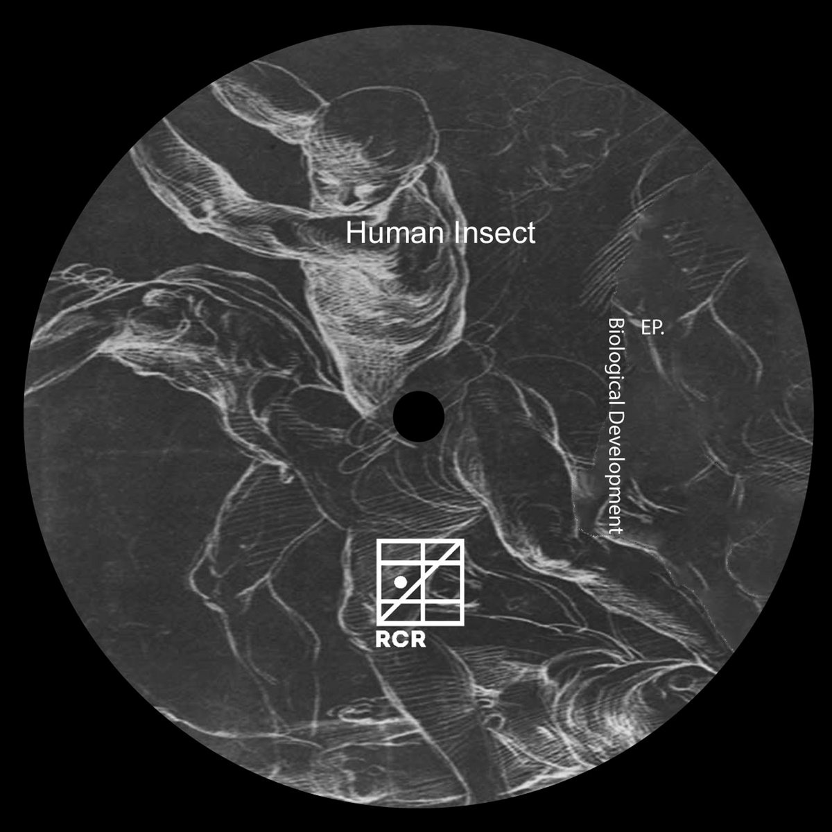 Human Insect - Biological Development EP | RCR Black Limited