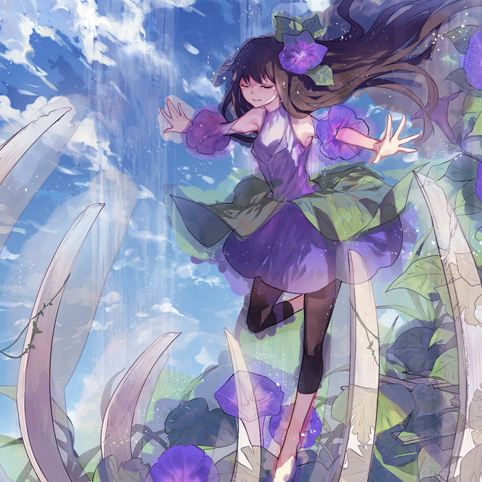 Morning Glory | Phyrnna