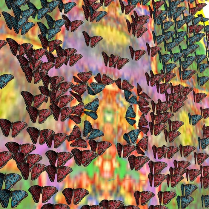 Butterfly 3000 Live | King Gizzard & The Lizard Wizard | Bootleg Gila