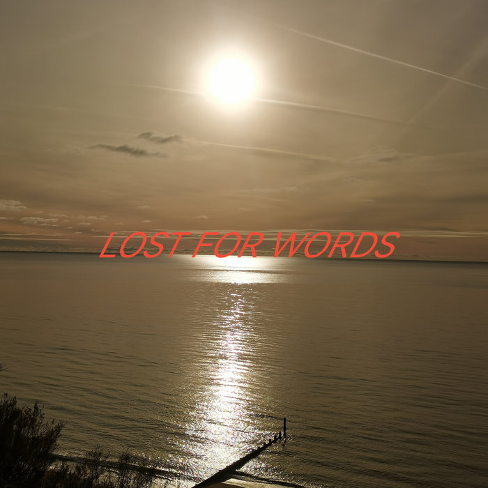LOST FOR WORDS | UN HOMME ET DEUX CHIENS