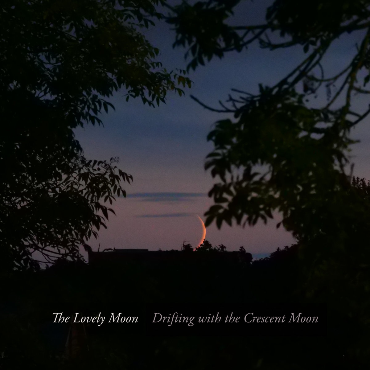 Drifting with the Crescent Moon | The Lovely Moon