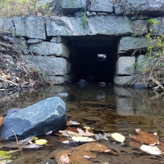 Fountain Resonances | Samuel Burt