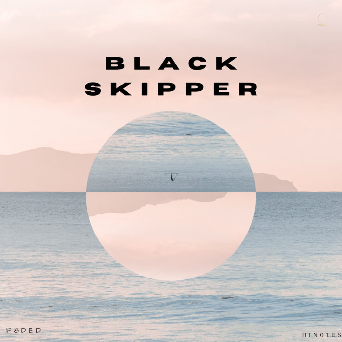 Black Skipper | F8ded
