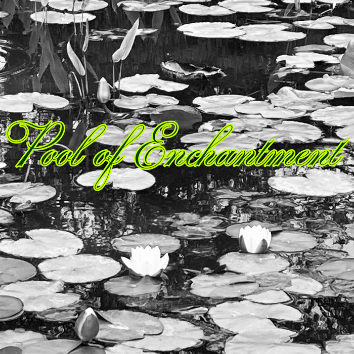 Pool of Enchantment | Kristen Marie