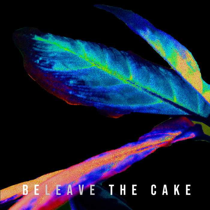 BeLeave The Cake | Cake Talk