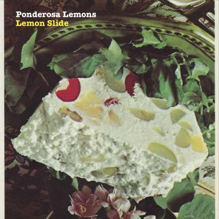 Lemon Slide | Ponderosa Lemons