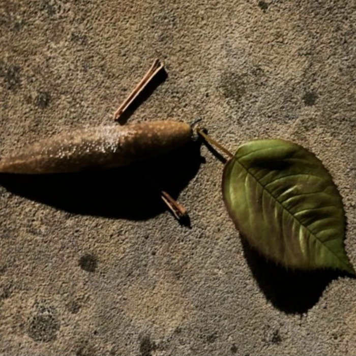 SLUG | Bad At Drawing