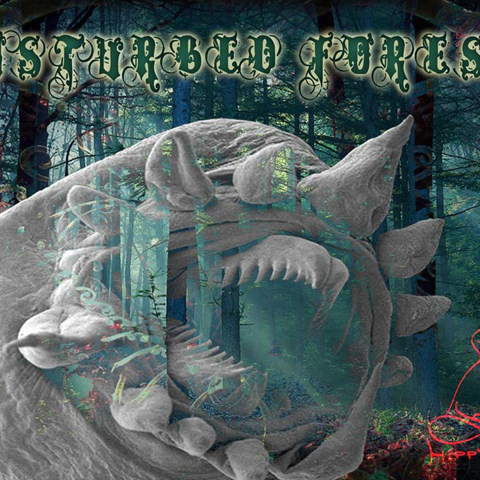DISTURBED FOREST - Va | HippyFlip Records
