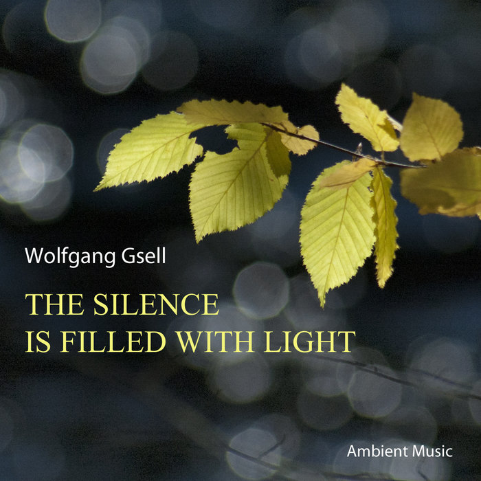 The Silence Is Filled With Light | Wolfgang Gsell