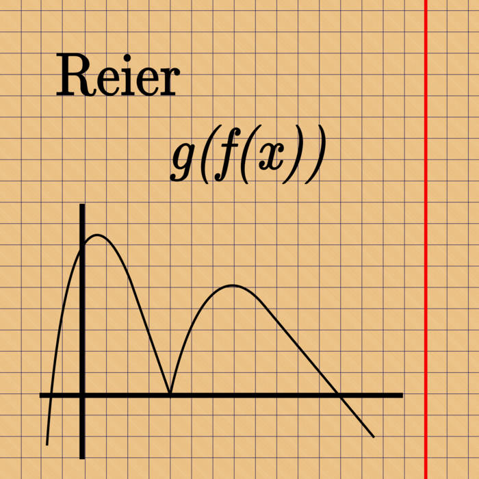 g(f(x)) | Reier | Southern City‘s Lab