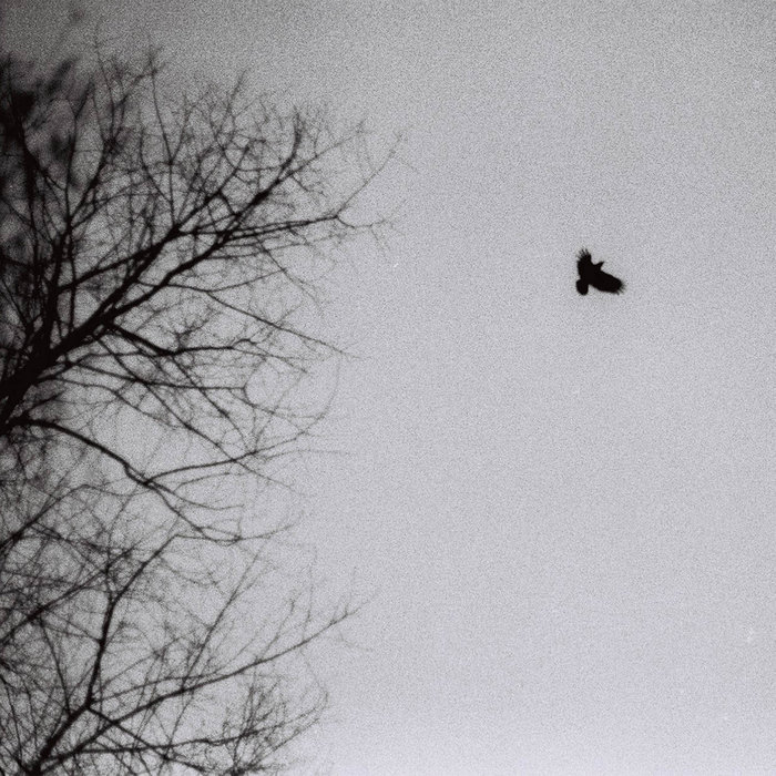 Beatrice | Cape Willoughby Road | secret press