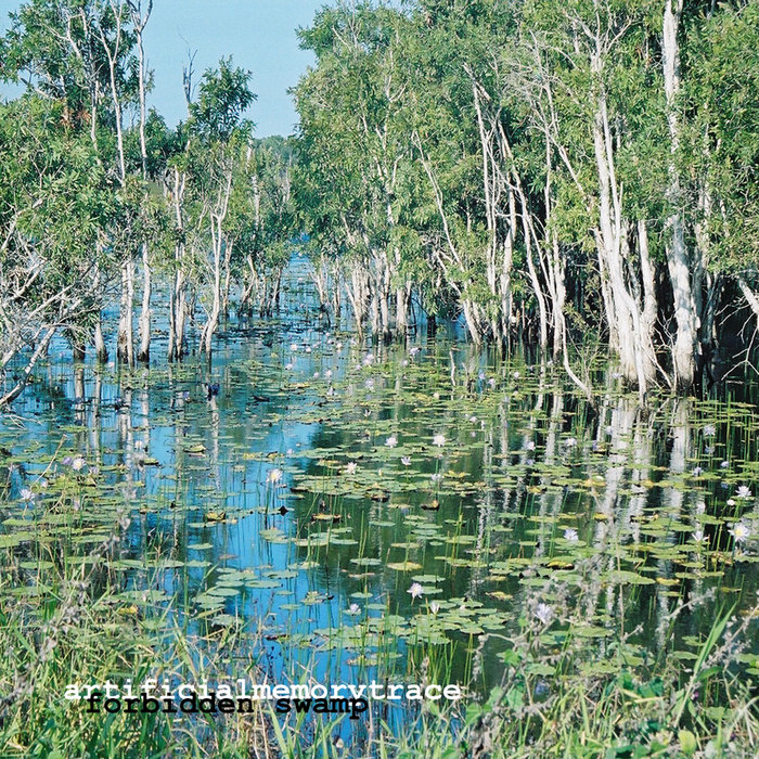 FORBIDDEN SWAMP | Artificial Memory Trace