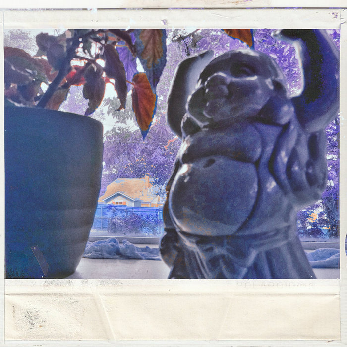 An Introduction To Carson Reed | Carson Reed