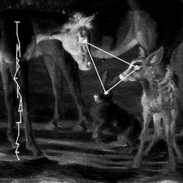 "the den" | timber rattle | burial dance