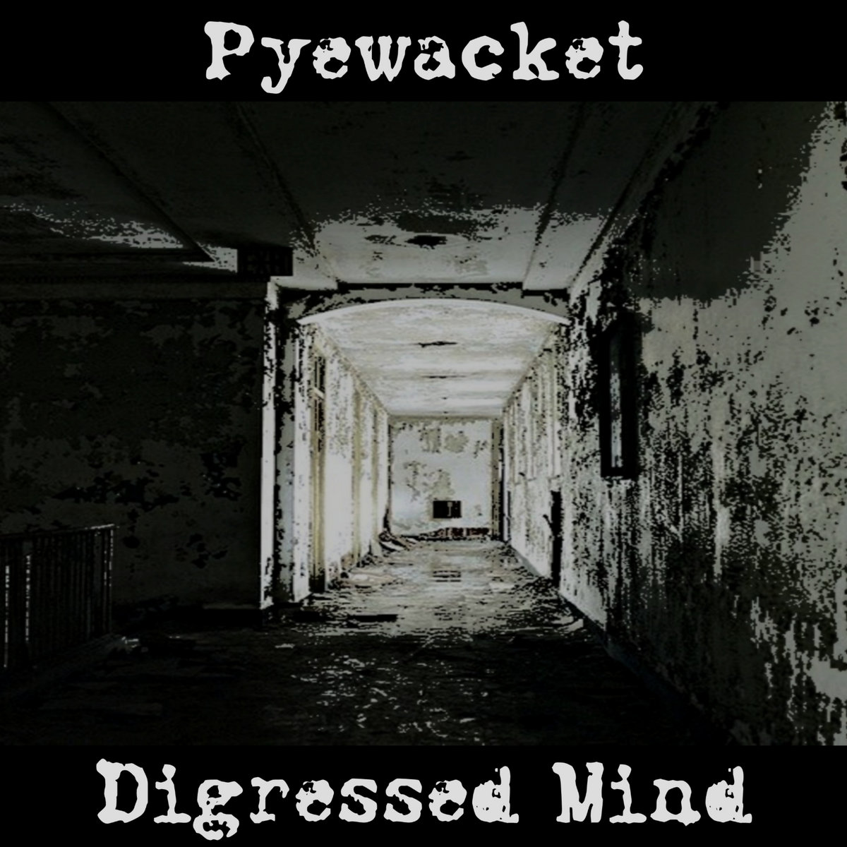 Pyewacket/Digressed Mind split | Transitional Void Records