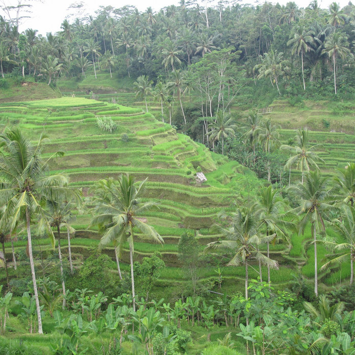 Ratra Aarambh 2 Dvdrip Download Movie | Scoocolo | warheedihard