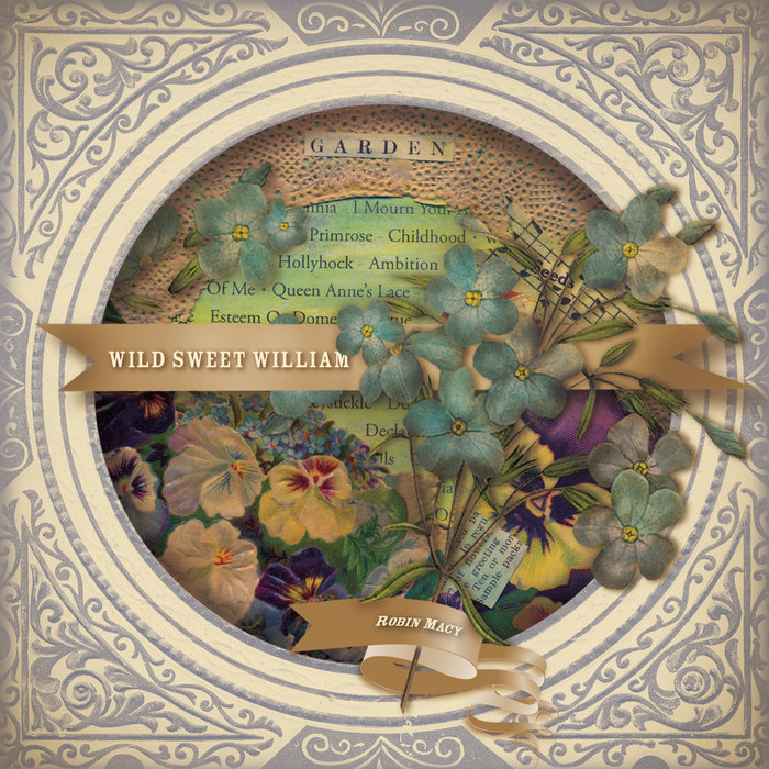 Wild Sweet William | Robin Macy