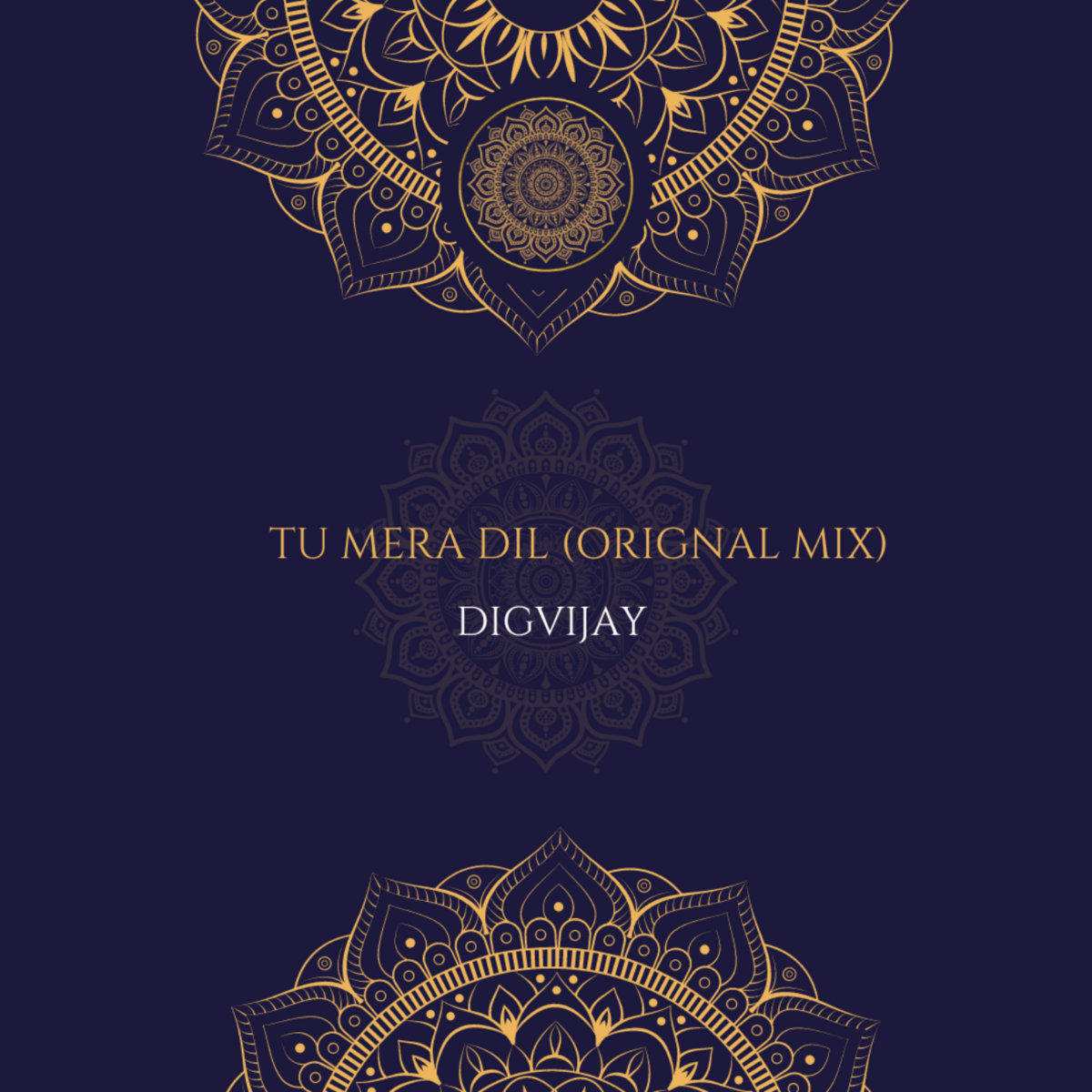 Tu Mera Dil | Digvijay | DIGVIJAY