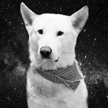 Music The Ghost Wolves