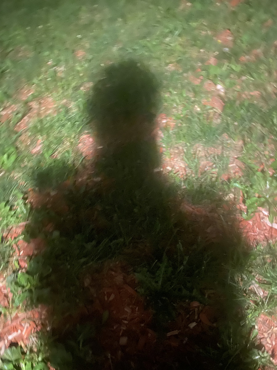 Shadow | Garth Anderson