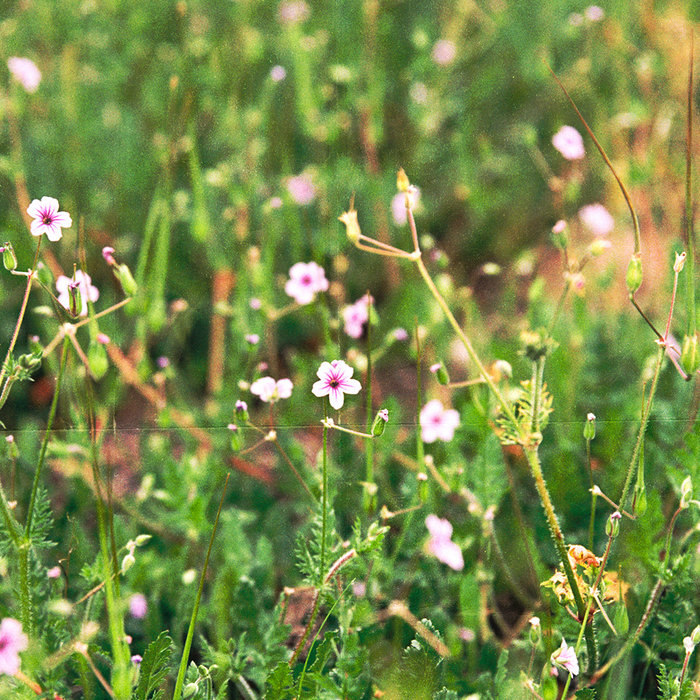 Tate McRae - Greedy (Player Dave bootleg) | Player Dave