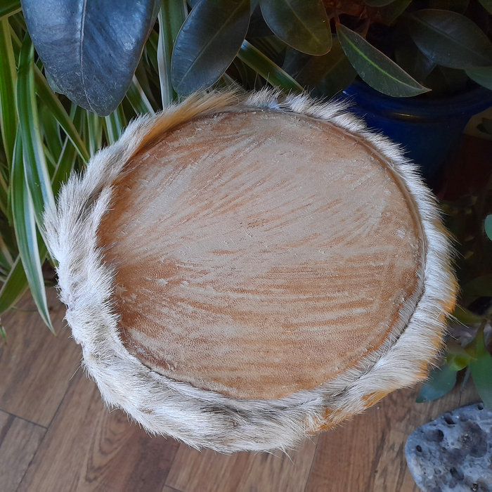 1212_multiverse6 | uni.Sol_106 | uni.Sol_