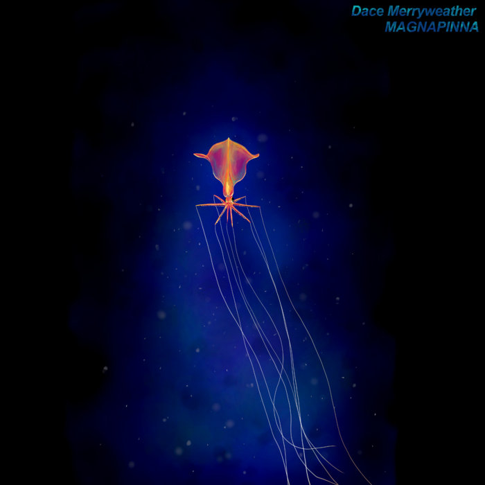 Magnapinna | Dace Merryweather