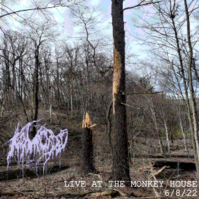 LIVE AT THE MONKEY HOUSE | Komodo VT | KOMODO VT