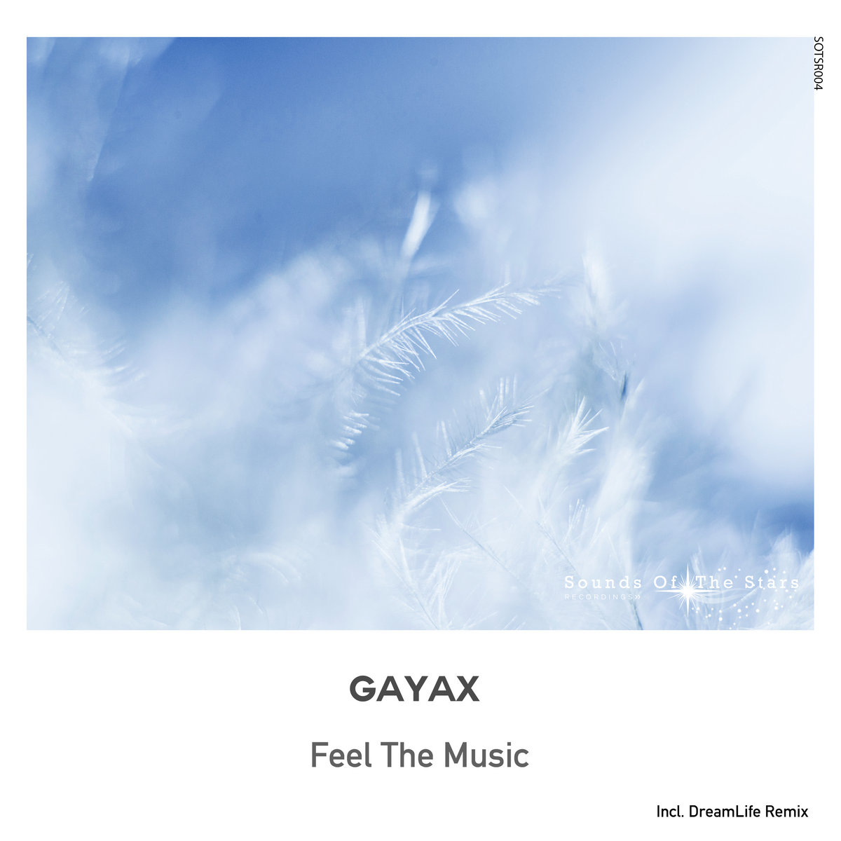 Gayax - Feel The Music (Incl. DreamLife Remix) | SounEmot Labels