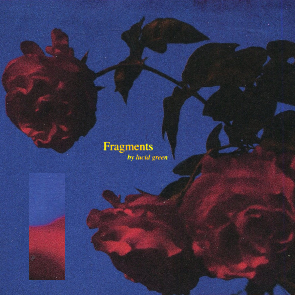 Fragments | Lucid Green