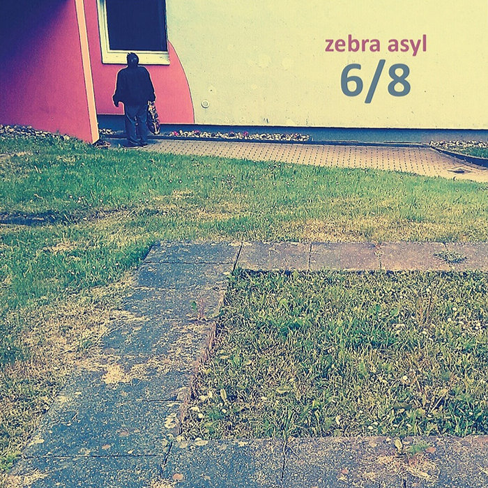 Why does it pee? | Zebra Asyl